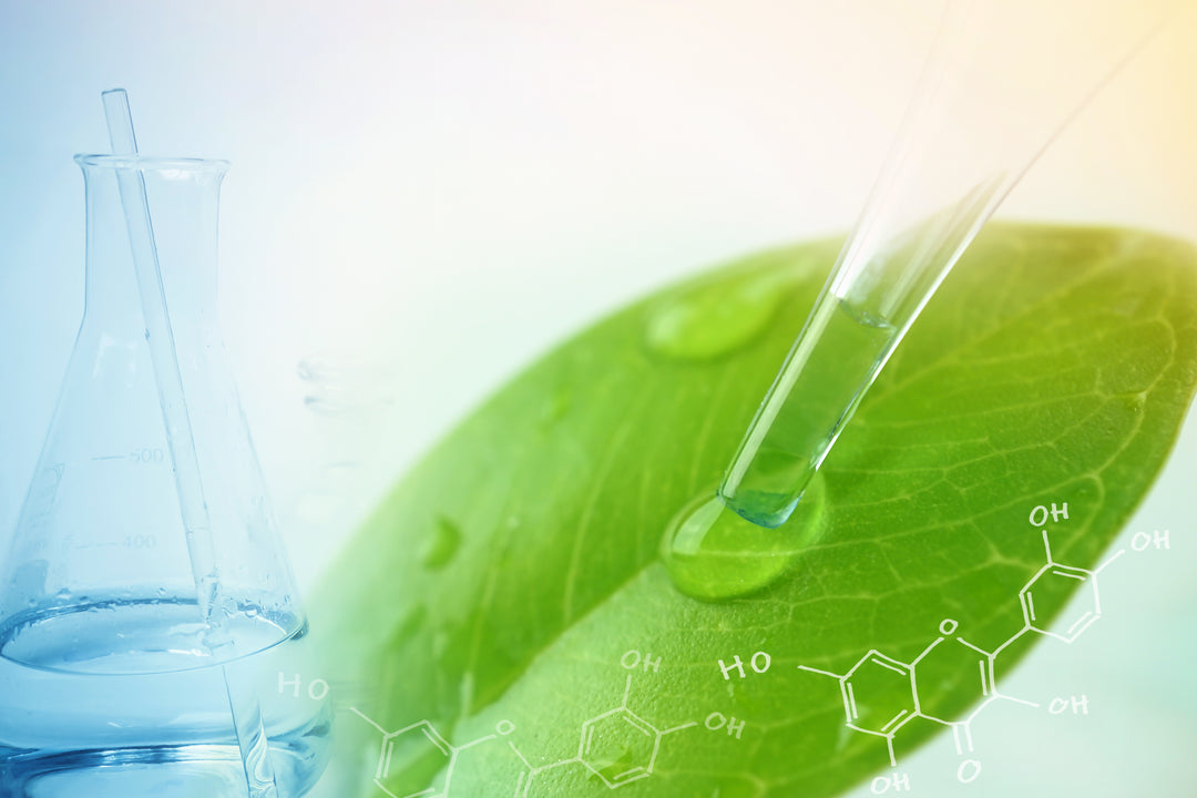 Food Plot Management Tecomate