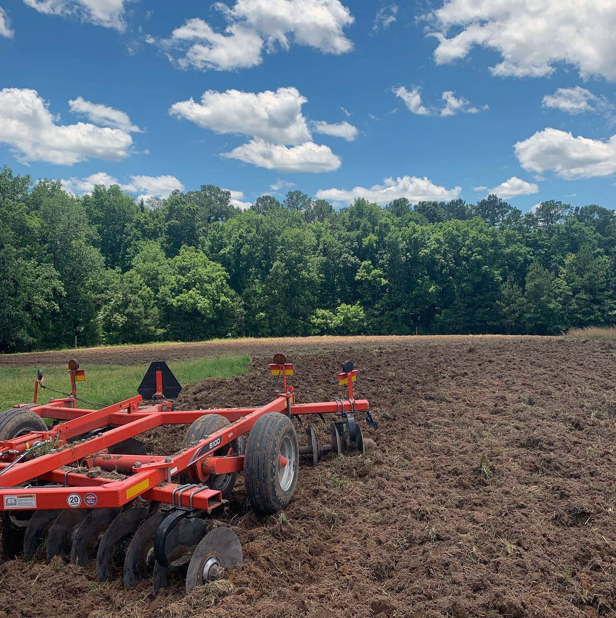 Top 3 Tips for the Best Food Plot Success – Tecomate