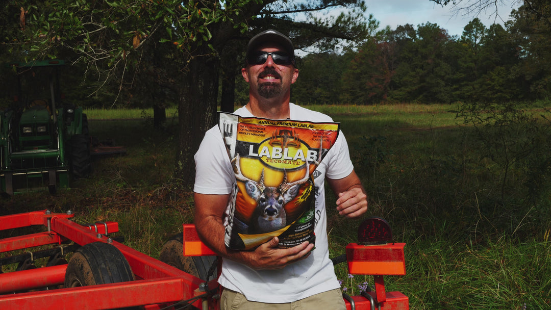 Deer Food Plot Seed — Lablab – Tecomate